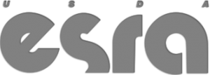 Full Service Digital Marketing Agency Indianapolis | SteerPoint